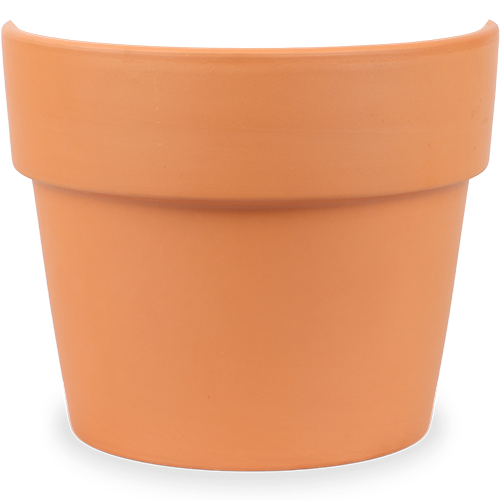 Mae (28cm) – Plantsome