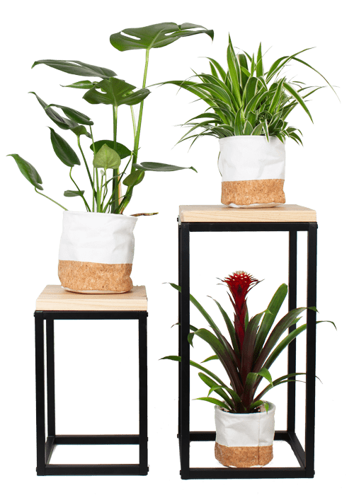 Planttafel Oskar Jr. 40cm | Speciaal voor Kamerplanten | Plantsome
